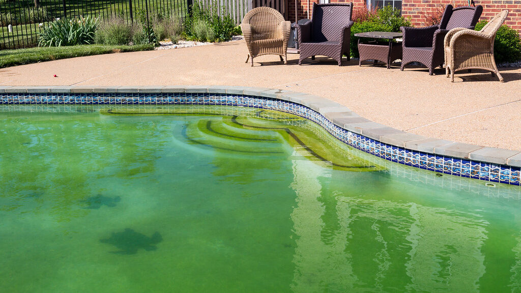 Solutions for Green Pools and Effective Pool Maintenance